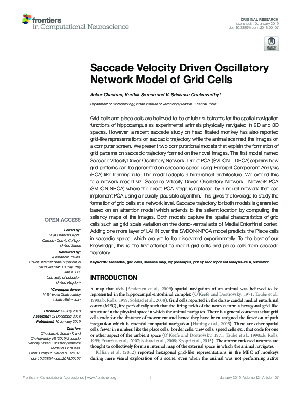 (PDF) Saccade Velocity Driven Oscillatory Network Model of Grid Cells