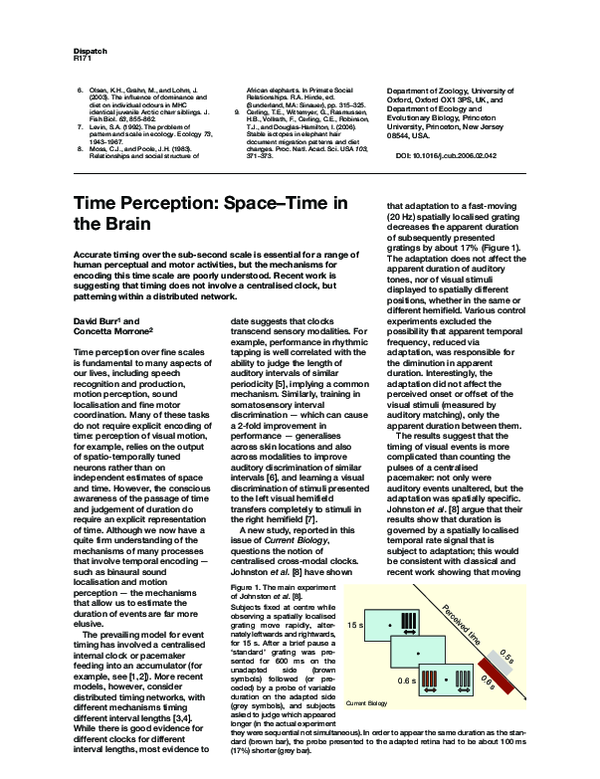 (PDF) Time Perception: Space–Time in the Brain