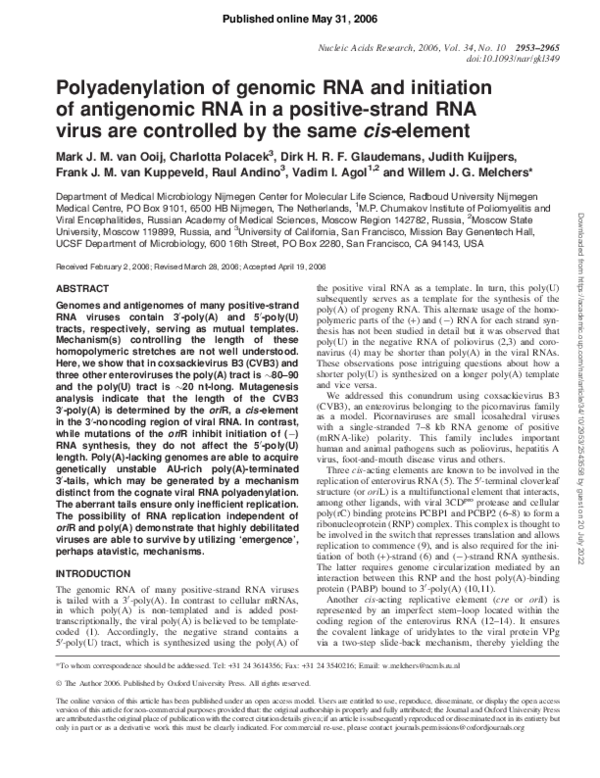 (PDF) Polyadenylation of genomic RNA and initiation of antigenomic RNA ...