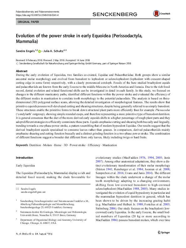 (PDF) Evolution of the power stroke in early Equoidea (Perissodactyla ...