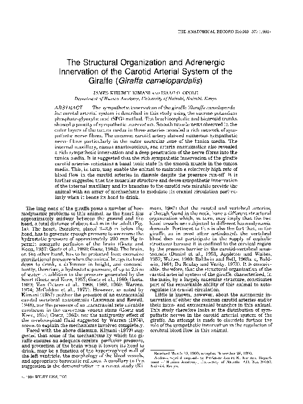 (PDF) The structural organization and adrenergic innervation of the ...