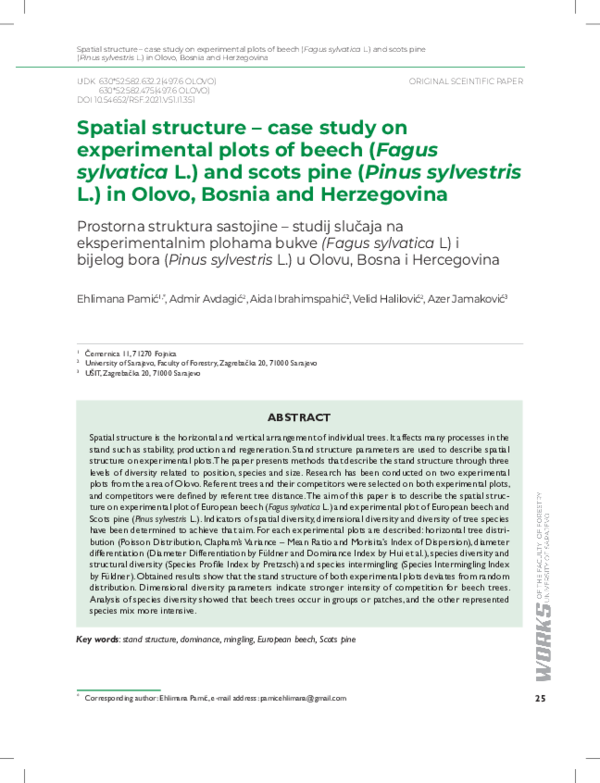 (PDF) Spatial structure – case study on experimental plots of beech (Fagus sylvatica L.) and ...