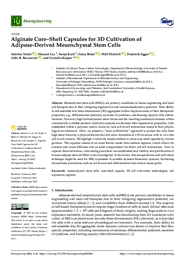 (PDF) Alginate Core–Shell Capsules for 3D Cultivation of Adipose ...