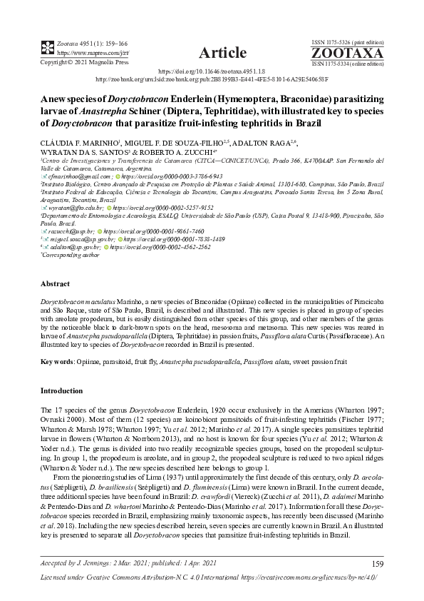 (PDF) A new species of Doryctobracon Enderlein (Hymenoptera, Braconidae ...