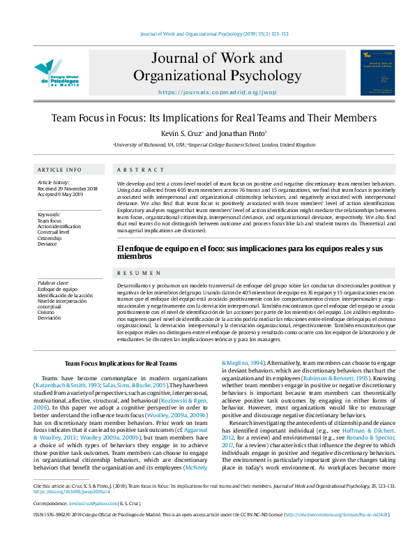 (PDF) Team Focus in Focus: Its Implications for Real World Teams and ...