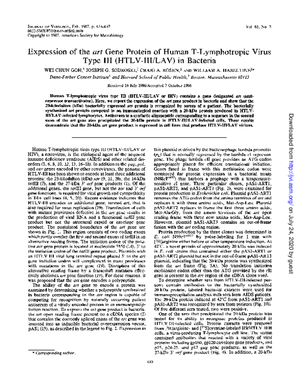 (PDF) Expression of the art gene protein of human T-lymphotropic virus ...