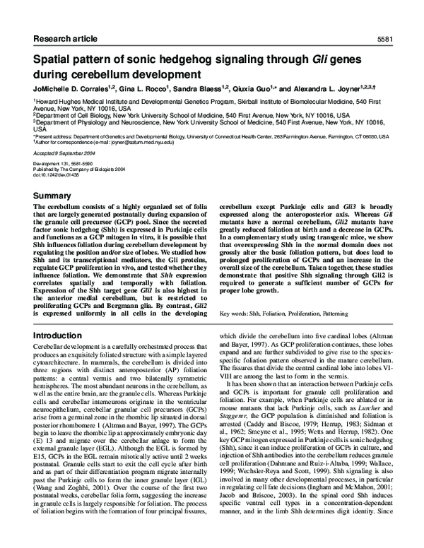 (PDF) Spatial pattern of sonic hedgehog signaling through Gli genes ...
