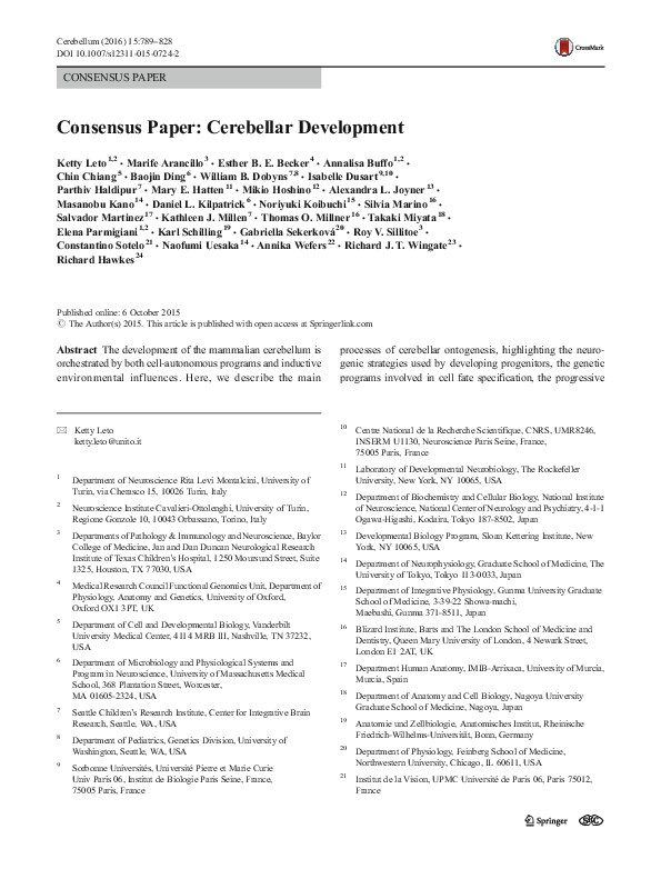 (PDF) Consensus Paper: Cerebellar Development