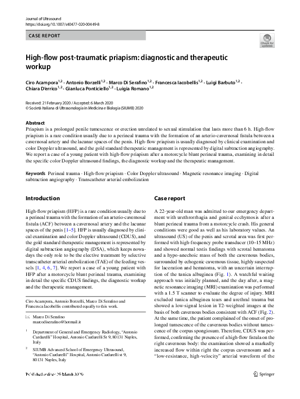 (PDF) High-flow post-traumatic priapism: diagnostic and therapeutic workup