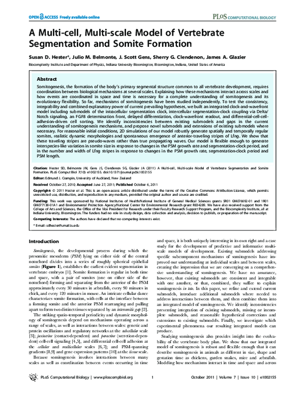 (PDF) A Multi-cell, Multi-scale Model of Vertebrate Segmentation and Somite Formation