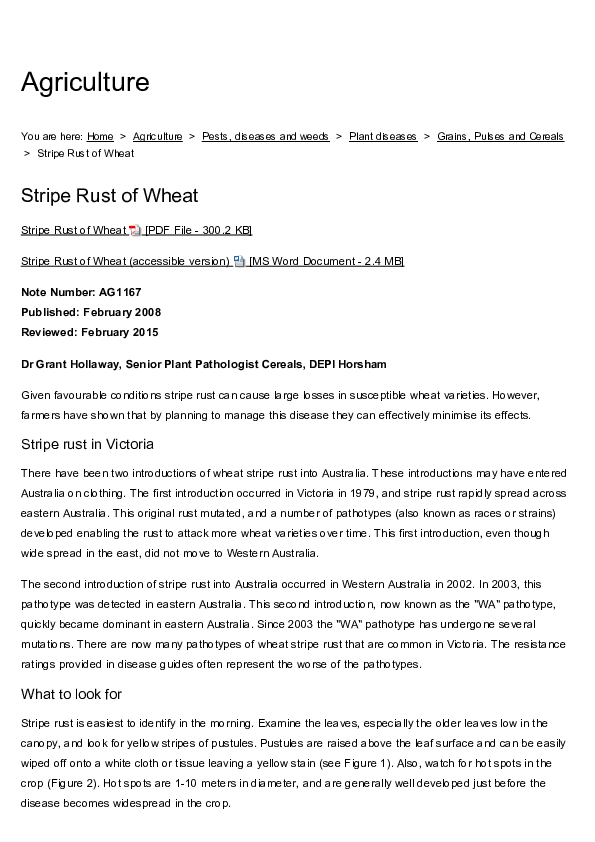 (PDF) Stripe rust of wheat