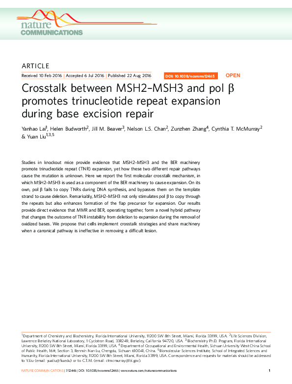 (PDF) Crosstalk between MSH2-MSH3 and polβ promotes trinucleotide ...