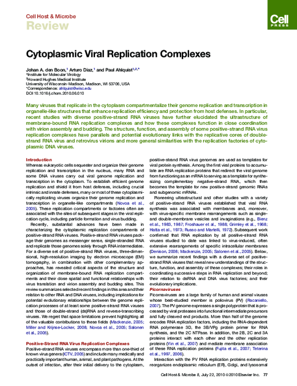 (PDF) Cytoplasmic Viral Replication Complexes