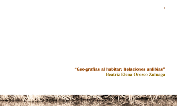 (PDF) Geo-grafías al habitar: relaciones anfibias