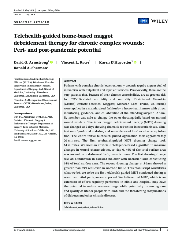 (PDF) Telehealth in Home Maggot Debridement Therapy