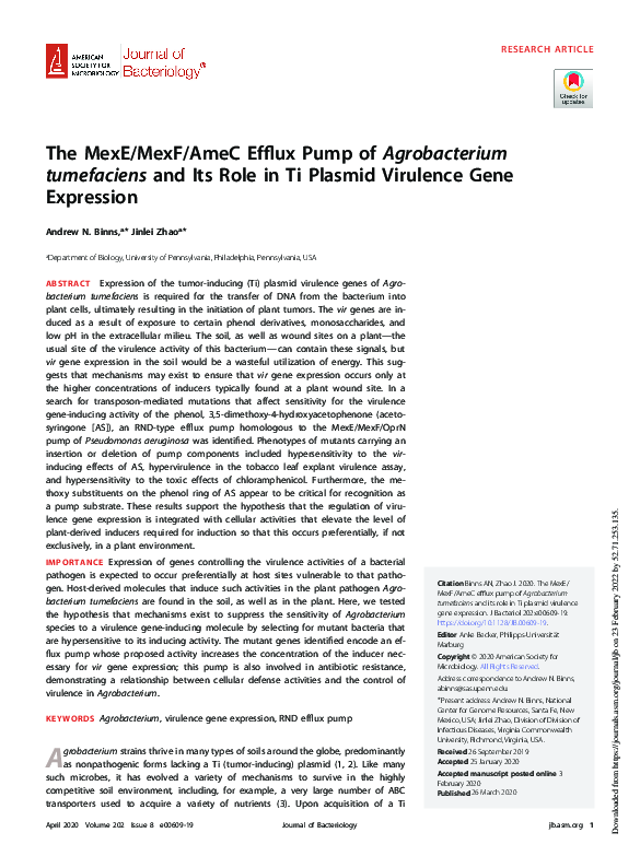 (PDF) The MexE/MexF/AmeC Efflux Pump of Agrobacterium tumefaciens and ...
