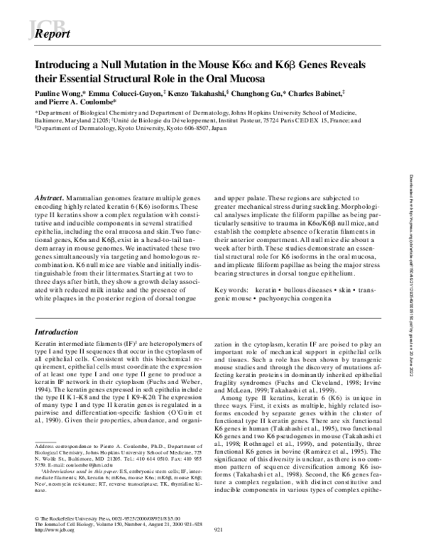 (PDF) Introducing a Null Mutation in the Mouse K6α and K6β Genes ...