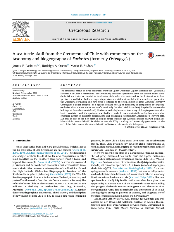 (PDF) A sea turtle skull from the Cretaceous of Chile with comments on ...