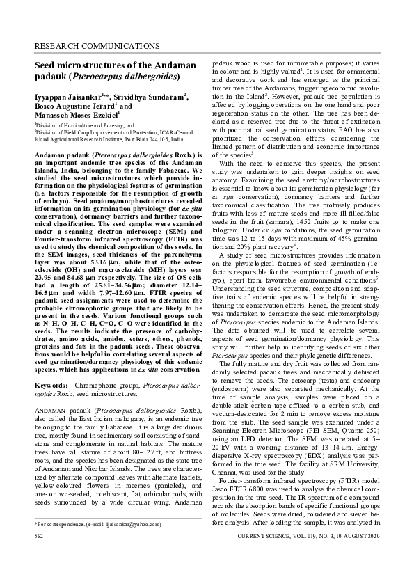 (PDF) Seed Microstructures of The Andaman Padauk (Pterocarpus dalbergoides)