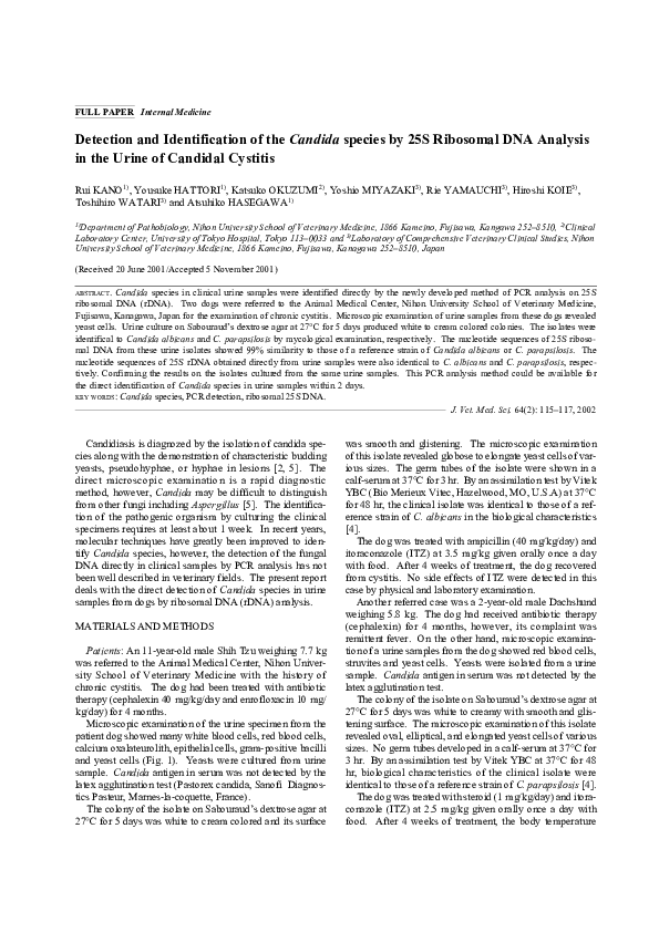 (PDF) Detection and Identification of the Candida species by 25S ...