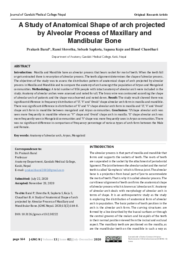 (PDF) A Study of Anatomical Shape of arch projected by Alveolar Process ...