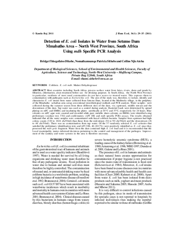 (PDF) Detection of E. coli Isolates in Water from Setumo Dam Mmabatho ...