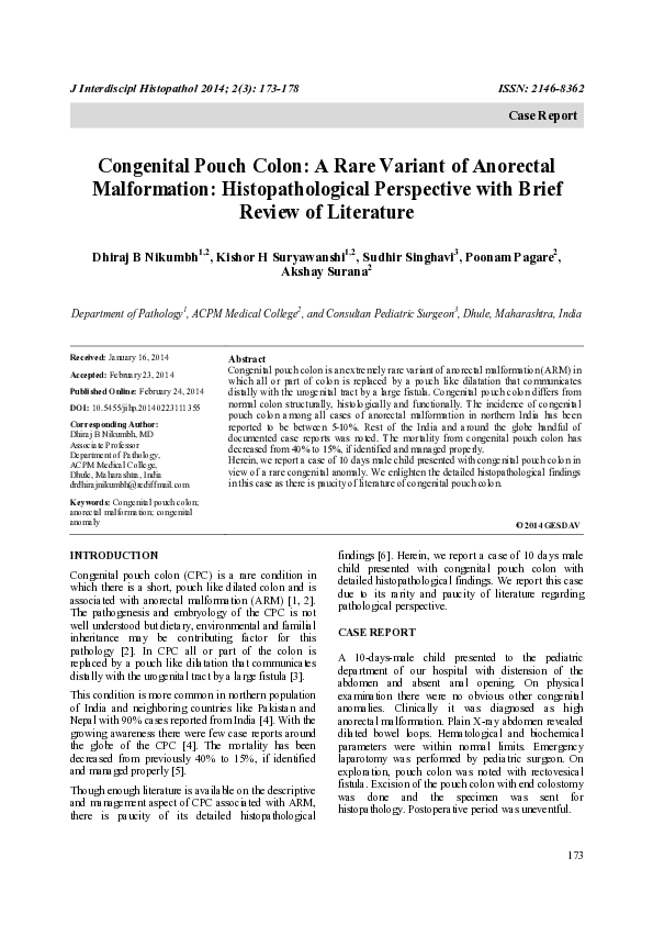 (PDF) Congenital Pouch Colon: A Rare Variant of Anorectal Malformation ...