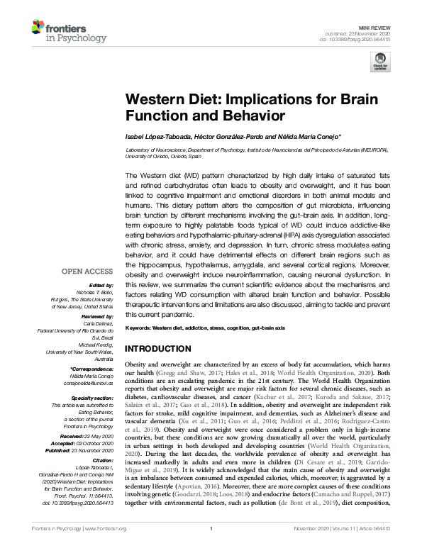 (PDF) Western Diet: Implications for Brain Function and Behavior
