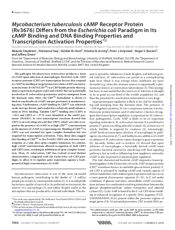 (PDF) Mycobacterium tuberculosis cAMP Receptor Protein (Rv3676) Differs ...