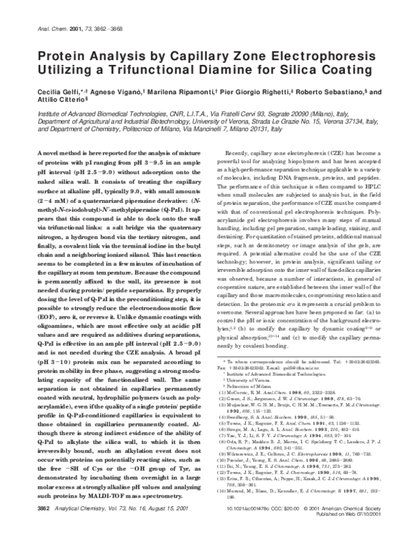 (PDF) Protein Analysis by Capillary Zone Electrophoresis Utilizing a Trifunctional Diamine for ...