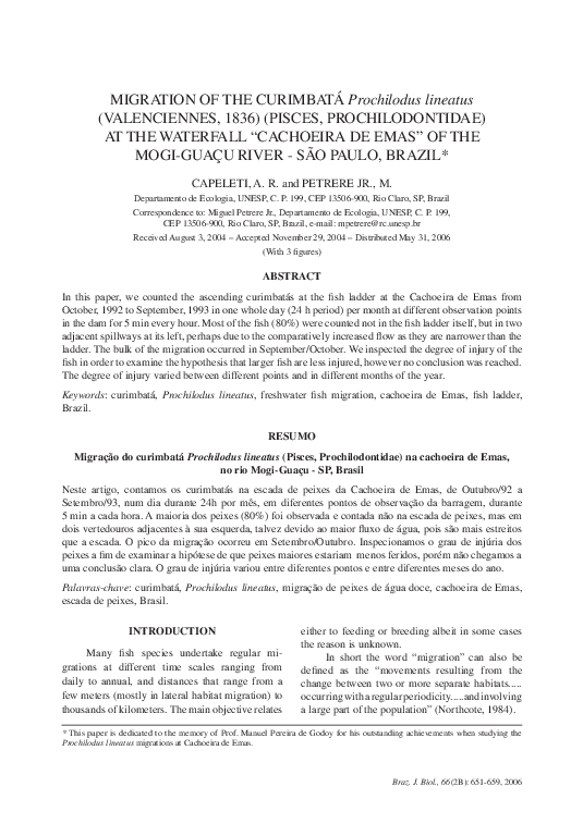 (PDF) Migration of the curimbatá Prochilodus lineatus (Valenciennes ...