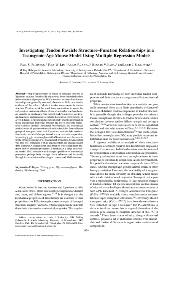 (PDF) Investigating Tendon Fascicle Structure–Function Relationships in ...