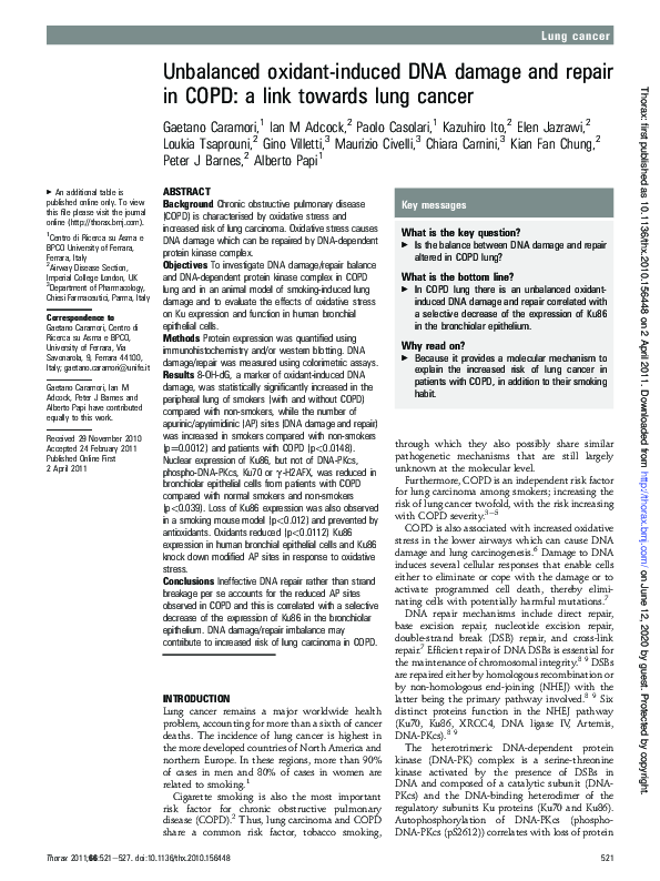 (PDF) Unbalanced oxidant-induced DNA damage and repair in COPD: a link ...