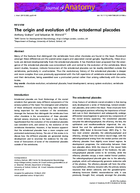(PDF) The origin and evolution of the ectodermal placodes