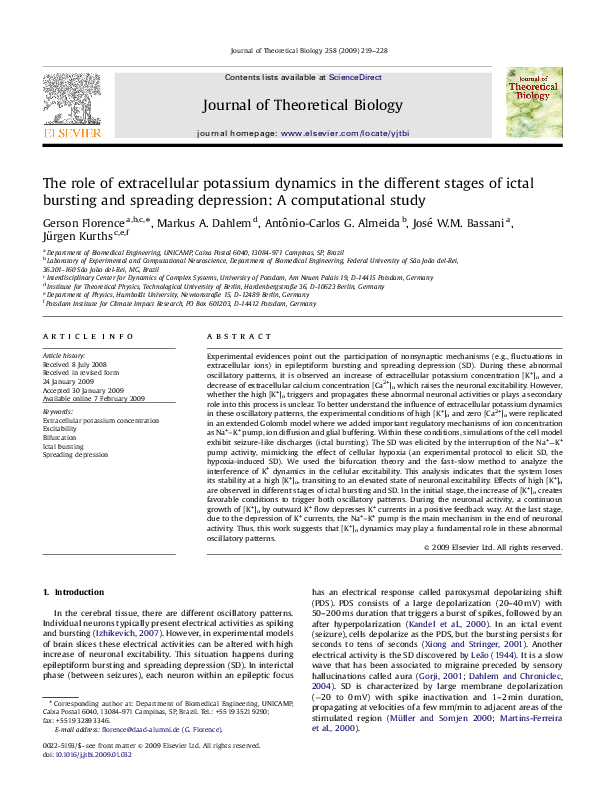 (PDF) The role of extracellular potassium dynamics in the different ...
