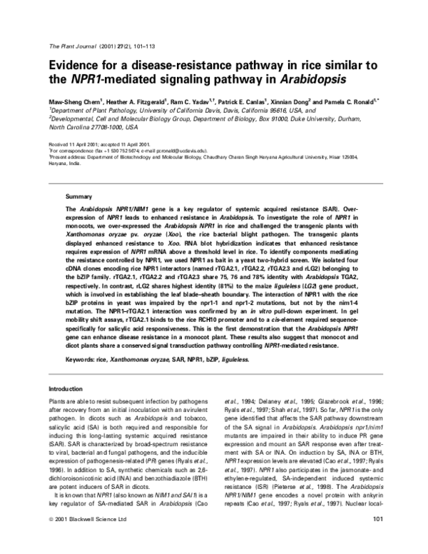 (PDF) Evidence for a disease-resistance pathway in rice similar to the ...