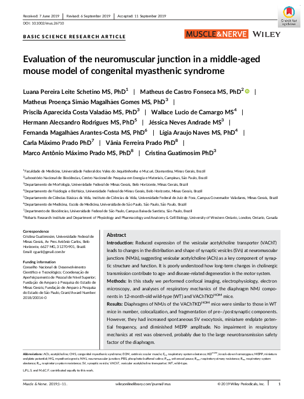 (PDF) Evaluation of the neuromuscular junction in a middle‐aged mouse ...