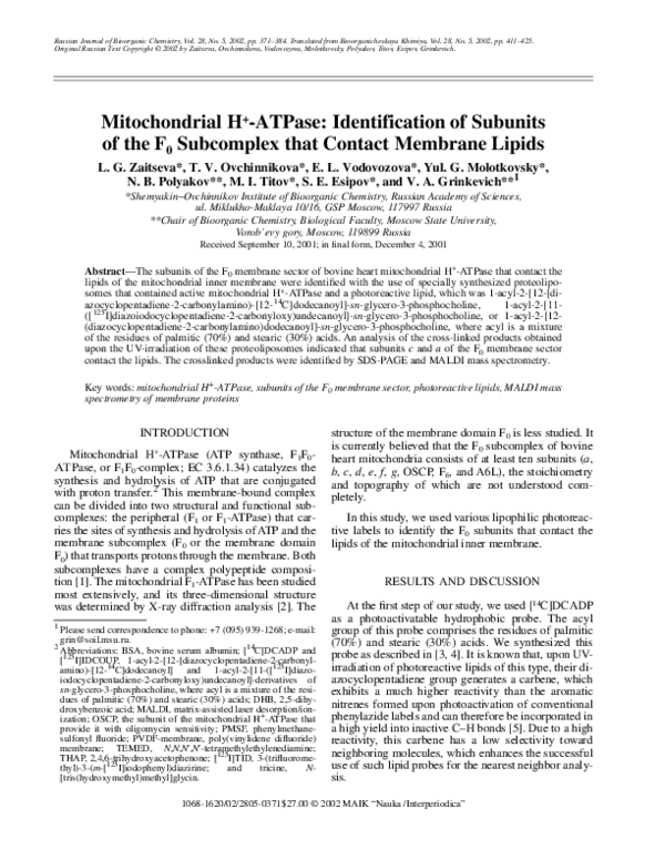 (PDF) Mitochondrial H+-ATPase: Identification of Subunits of the F0 Subcomplex that Contact ...
