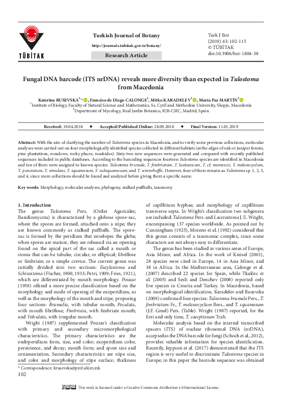 (PDF) Diversity of Tulostoma in Macedonia Revealed by DNA