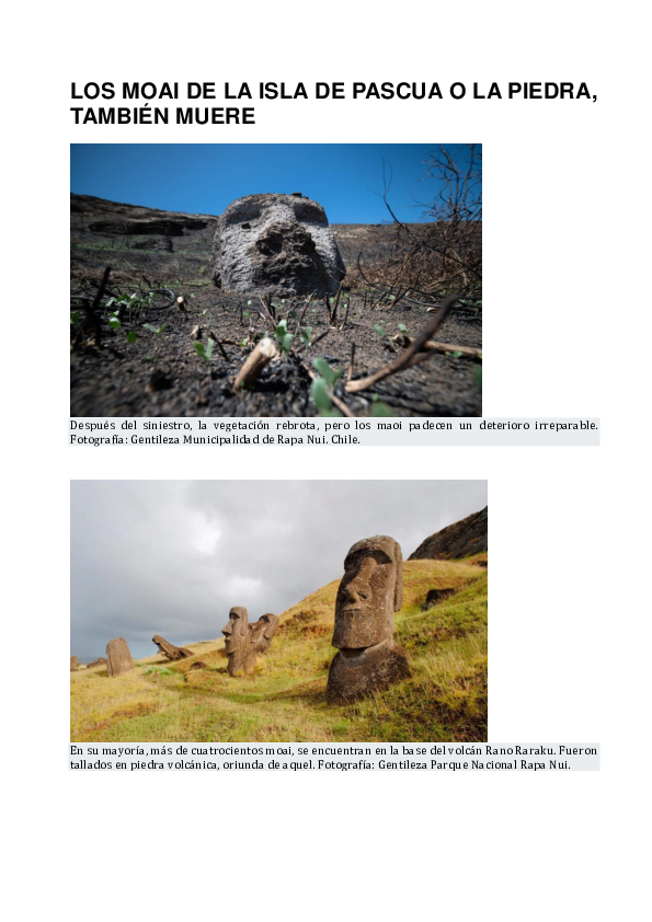 (PDF) LOS MOAI DE LA ISLA DE PASCUA O LA PIEDRA TAMBIÉN MUERE