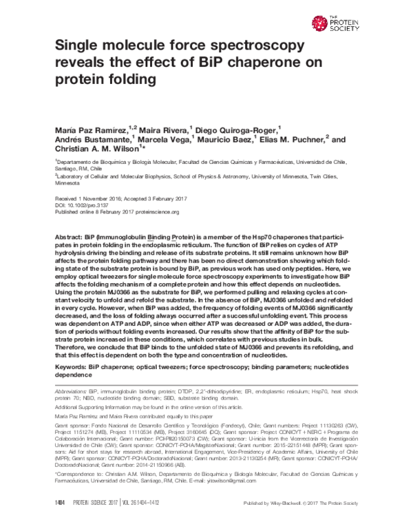 (PDF) BiP Chaperone's Role in Protein Folding Dynamics