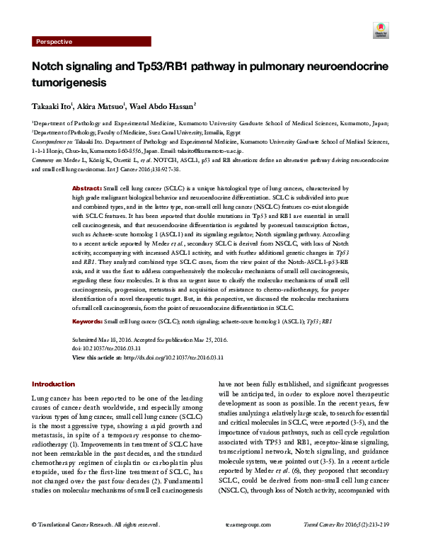 (PDF) Notch signaling and Tp53/RB1 pathway in pulmonary neuroendocrine ...