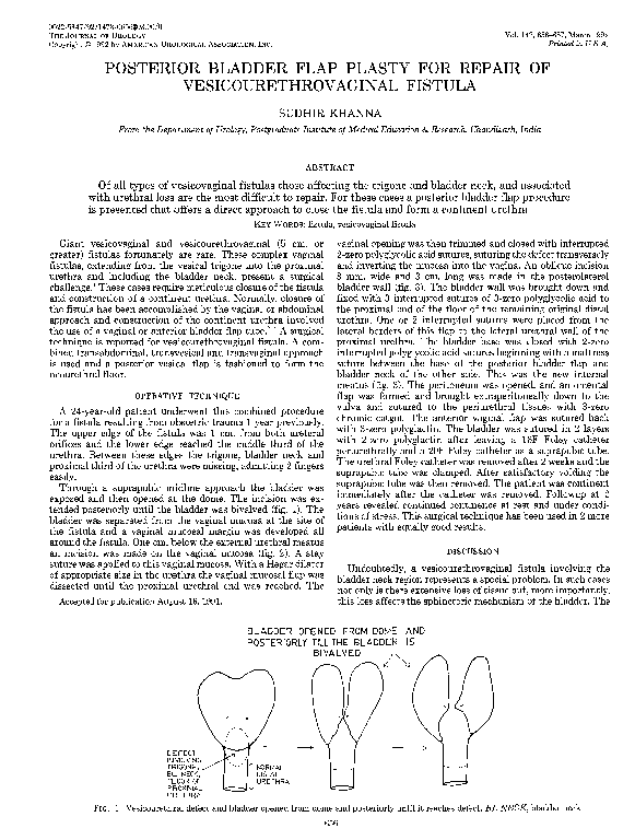 (PDF) Posterior Bladder Flap Plasty For Repair of Vesicourethrovaginal ...