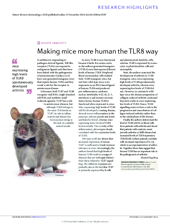 (PDF) Innate immunity: Making mice more human the TLR8 way