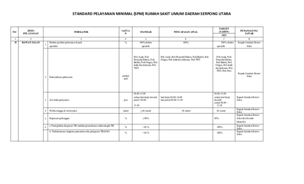 (DOC) STANDARD PELAYANAN MINIMAL (SPM) RUMAH SAKIT UMUM DAERAH SERPONG ...