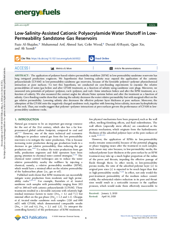 (PDF) Low-Salinity-Assisted Cationic Polyacrylamide Water Shutoff in ...