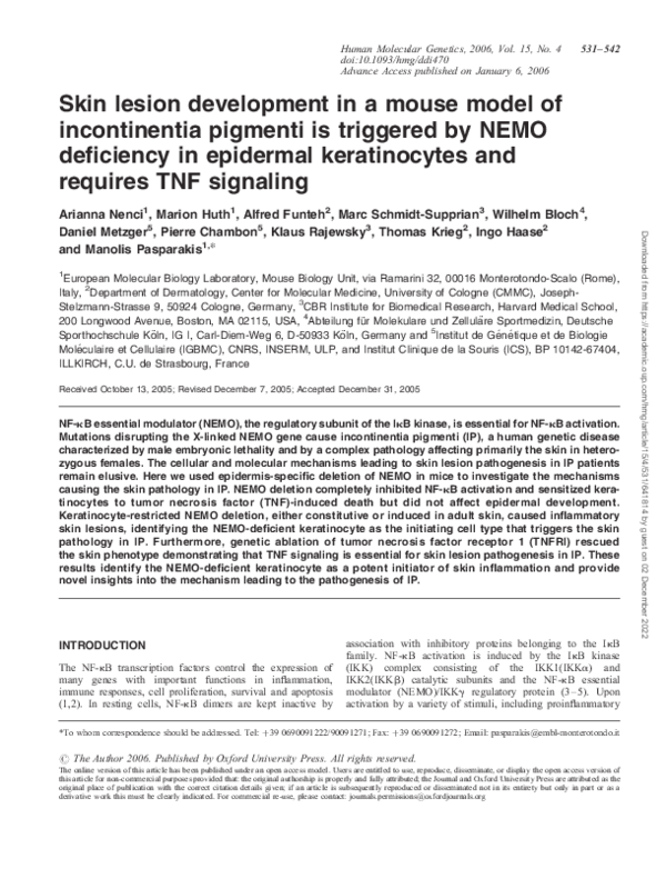 (PDF) Skin lesion development in a mouse model of incontinentia ...
