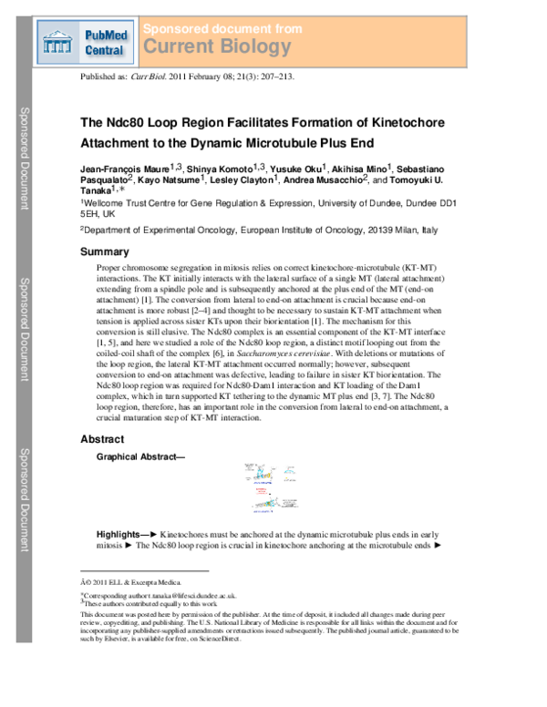 (PDF) The Ndc80 Loop Region Facilitates Formation of Kinetochore ...