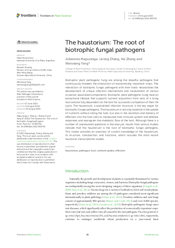 (PDF) The haustorium: The root of biotrophic fungal pathogens