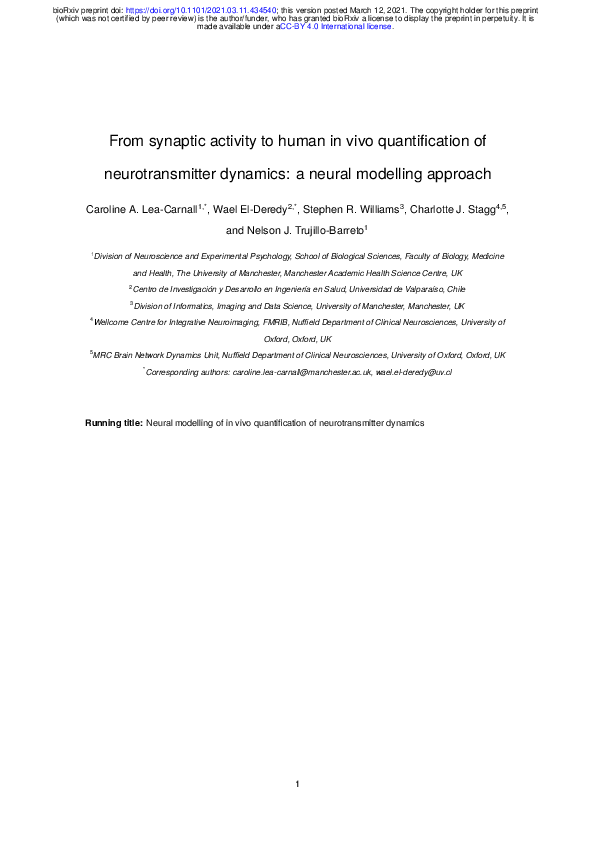 (PDF) From synaptic activity to human in vivo quantification of neurotransmitter dynamics: a ...